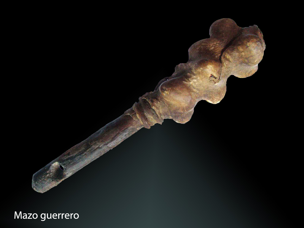 ACERVO LEISTENSCHNEIDER