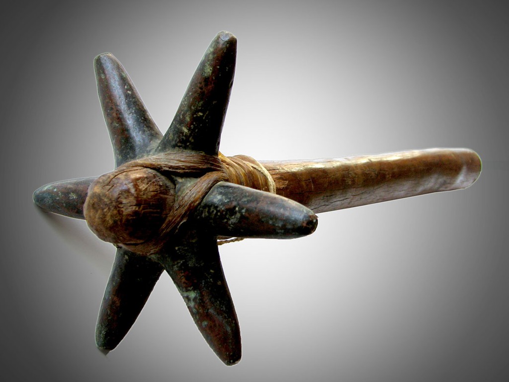 ACERVO LEISTENSCHNEIDER